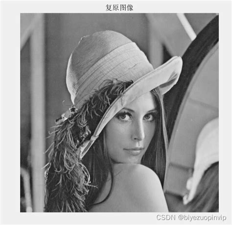 基于matlab的变换编码的设计与实现对变换图像进行 Z 字形扫描对结果只保留直流系数 Csdn博客