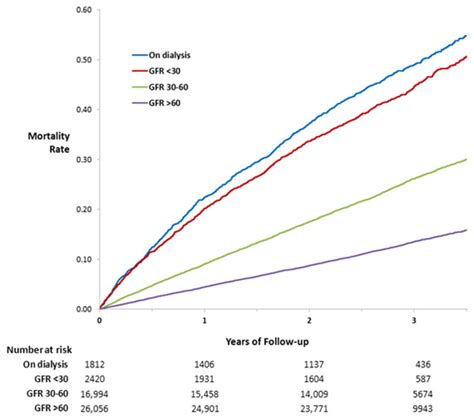 Survival After Primary Prevention Implantable Cardioverter Defibrillator Placement Among
