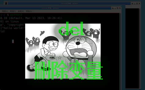 [oeasy]python050 如何删除变量 del delete variable 知乎