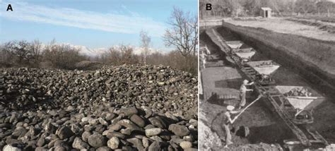 2 Two Examples Of Environment Exploitation The Accumulations Of