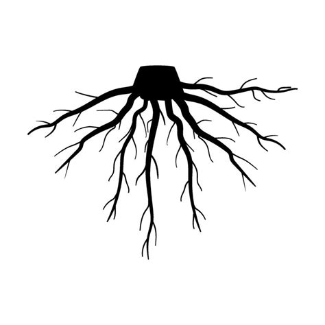Structure Tree Root Cartoon Illustration Vector Art At Vecteezy