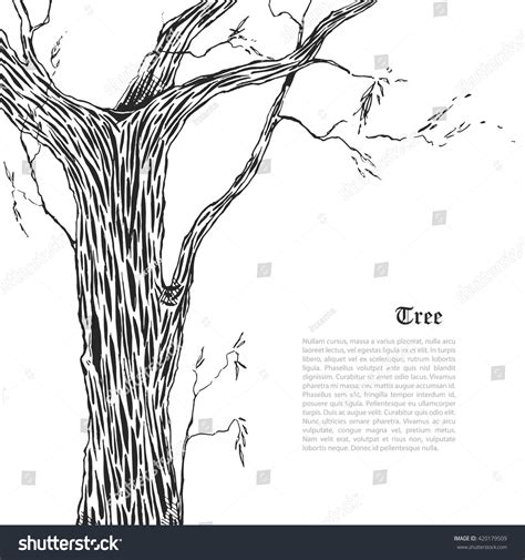 6 688 Tree Trunk Ink Images Stock Photos Vectors Shutterstock