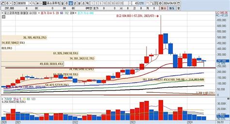 포스코퓨처엠 주가전망 목표가 손절가 이차전지 관련주 실적 기대감