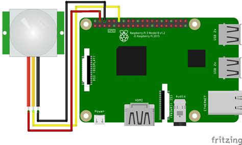 Interface Pir Sensor With Raspberry Pi Tutorial 2022