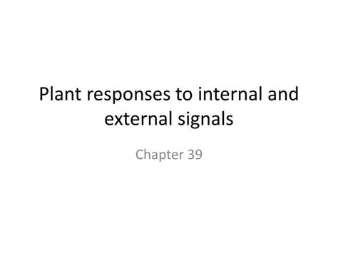 Ppt Plant Responses To Internal And External Signals Powerpoint Presentation Id3447271
