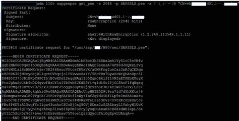 Step To Generate Sapssls Pse Certificate File And Sap Community