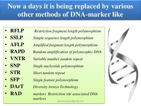 Dna Marker