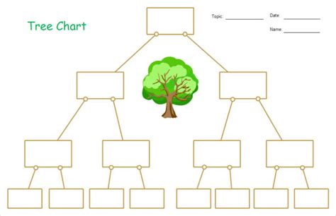 Tree Map Graphic Organizer Google Search Thinking Maps Circle Map Images
