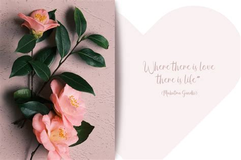 Anse Font Download Free Font