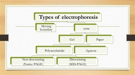 Basics Of Electrophoresis