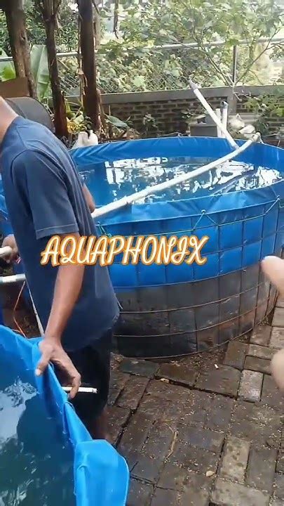 Pembuatan Sistem Aquaphonix Shortvideo Youtube