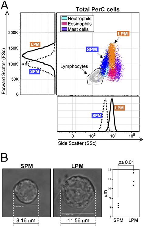 Ghosn Laboratory Tissue Resident Macrophages