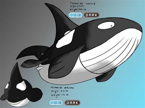 Orca Fakemon Wailmer Pokemon Wailord Pokemon Big Whale Pokemon