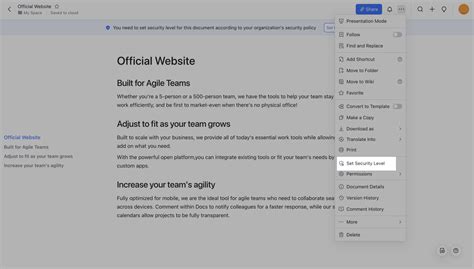 Set Security Levels For Documents