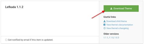How To Update Upgrade Your Theme CSSIgniter