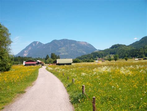 Filewank Loisachtal Wikimedia Commons