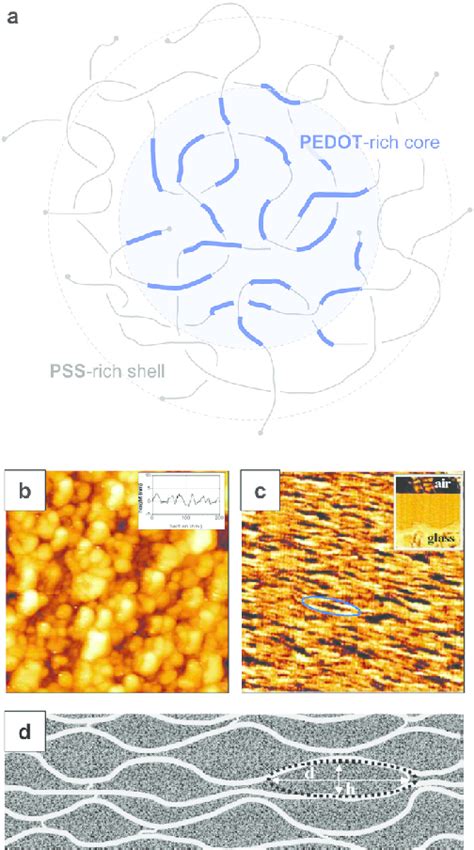 Nanostructure Of Pedot Pss A Core Shell Structure Of A Pedot Pss Download Scientific