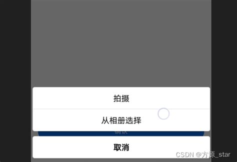 Uniapp 打开相册，不显示图片oneui4 相册上传图片显示不出来 Csdn博客