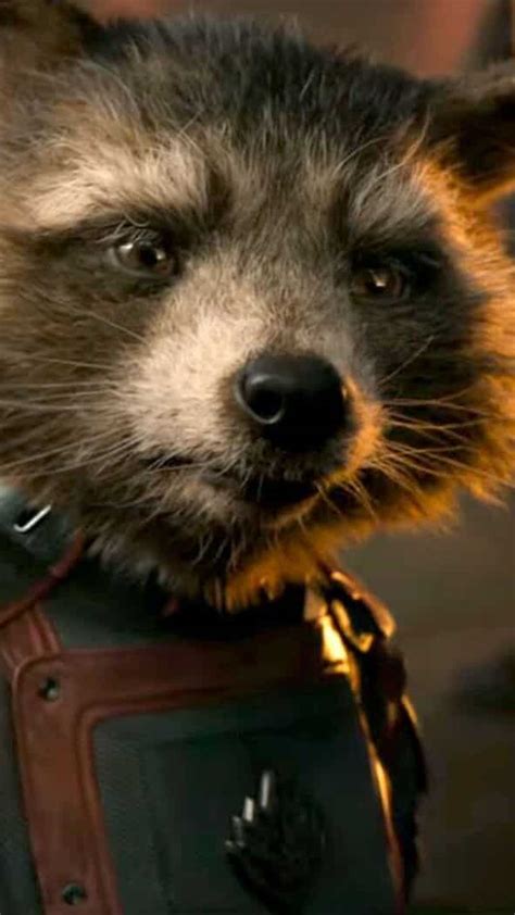 Rocket Raccoon Iphone Wallpaper