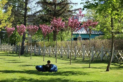 Парк письменників в Ірпені Володимир Карплюк