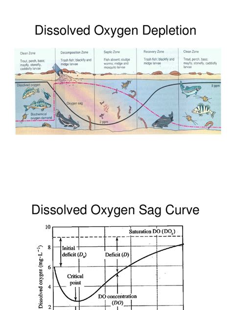 Oxygen Sag Curve