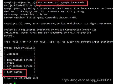 Docker篇 Docker Compose搭建mysql高可用主从集群docker Compose 安装mysql集群 Csdn博客