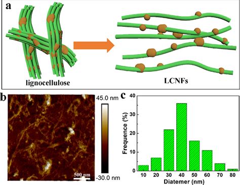 The Schematic Diagram Of LCNF Preparation Process A AFM Image Of Download Scientific Diagram