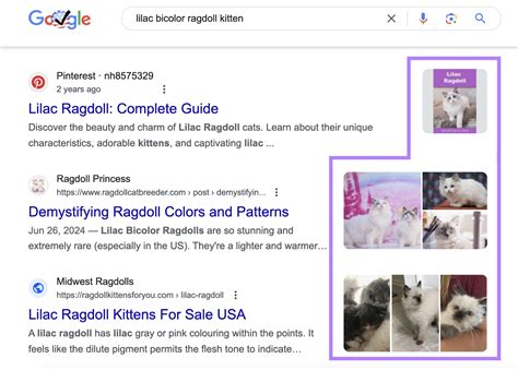 What Are Serp Features Types And How To Optimize For Them