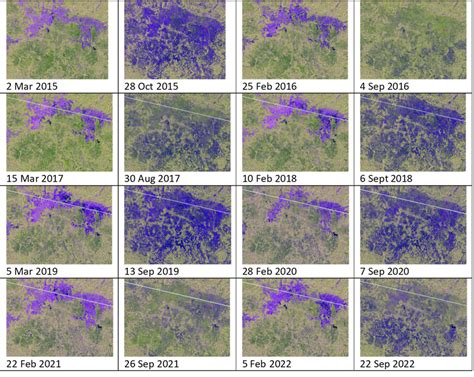 Sentinel 1 Time Series Of Paddy Field Condition Download Scientific