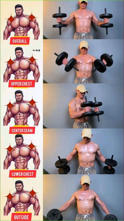 Untitled Chest Workout Routine Dumbbell Chest Workout Abs Workout Gym