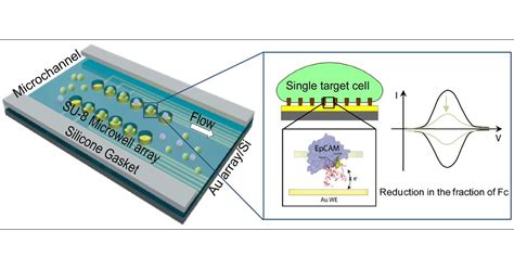 Single Cell Electrochemical Aptasensor Array Acs Sensors