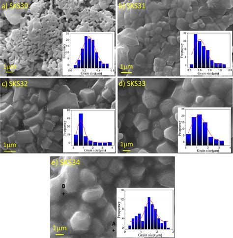 Ae Sem Micrographs For Sks30 Sks31 Sks32 Sks33 And Sks34 Samples