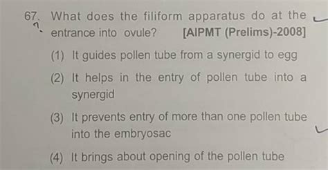 What Does The Filiform Apparatus Do At The Entrance Into Ovule Aipmt P