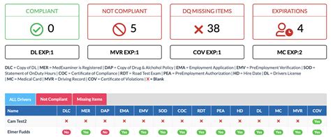 Dq Items Summary Report Mvr Help Center