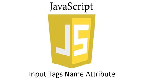 Js018 Javascript The Name Attribute For The Input Tag Youtube