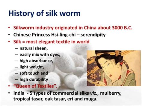 Lecture 8 Types Of Silk Worm Pptx