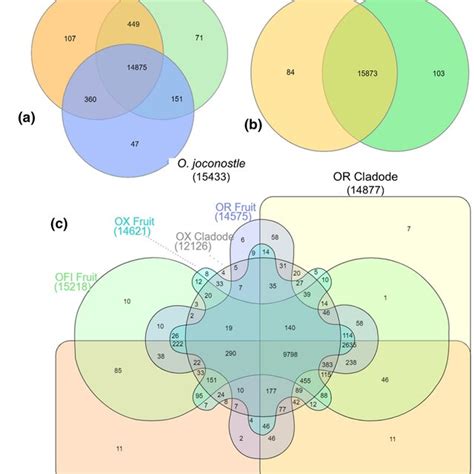 Phylogenetic Reconstruction Of Opuntia Species Based On Maximum