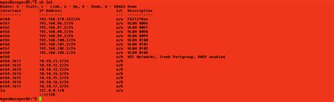 Configure Virtual Interfaces Vifs On Vyos