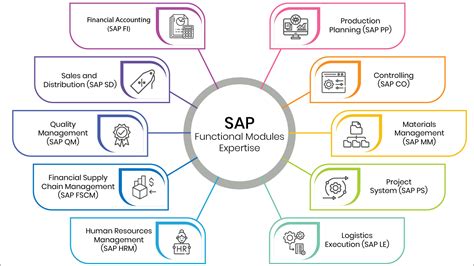 SAP Consulting Development Support Maintenance And Upgrades Services