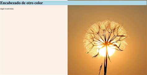 desarrollo web color y fondo en css