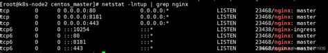 K8s Ingress Nginx 外部负载均衡器搭建kubernetes鱼游悠悠 K8skubernetes