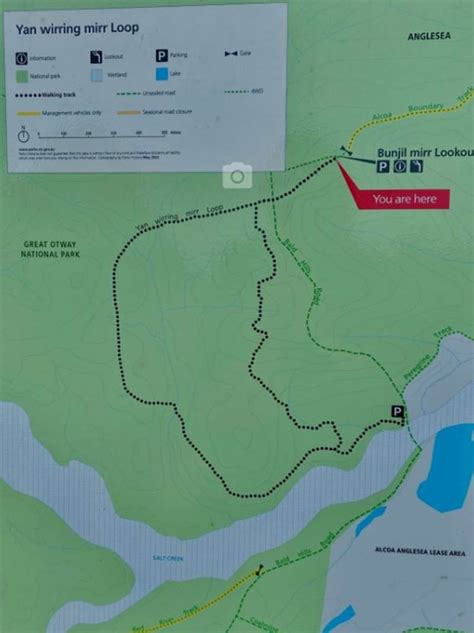 Yan Wirring Mirr Loop Walk Anglesea Walking Sport And Recreation