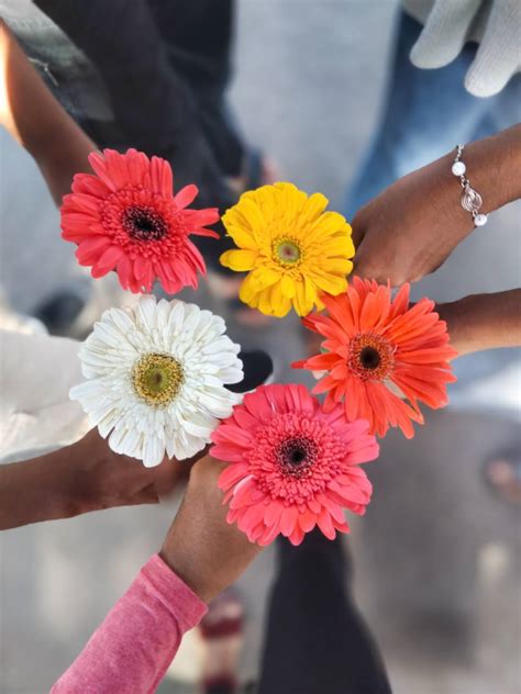 Simple මෙවර ඒ දියණියන් පැමිණියේ දුම්රියෙන් අපේ නිවසට ආසන්නව දුම්රිය