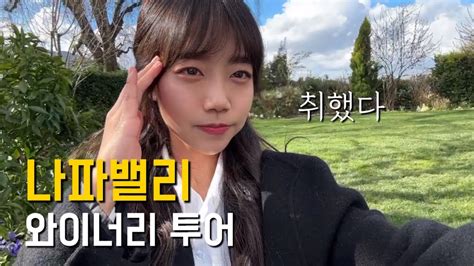 🇺🇸샌프란 여행 필수코스 나파밸리 와이너리 투어 찐후기🍷 샌프란시스코 Day3 Youtube