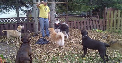 Attention Level Branch Imgur