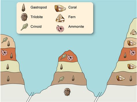 relative ages of rocks physical science