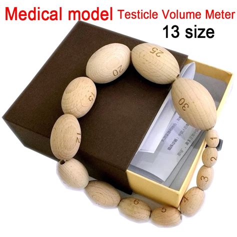 Testicle Volume Meter Testis Measurement Orchidometer Medical Teaching