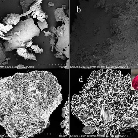 Schematic Diagram For The Solvothermal Synthesis Of An Mof Based Download Scientific Diagram