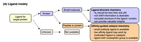 Activity Based Protein Profiling Abpp Service Mtoz Biolabs
