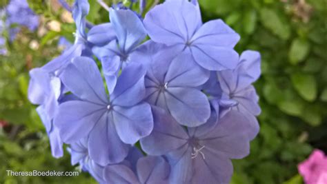 How To Stop An Argument Theresa Boedeker